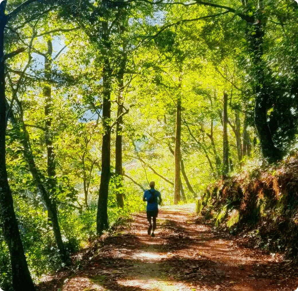 Jawadhu Hills Ultra (JHU-25) - Chennai Trail Club